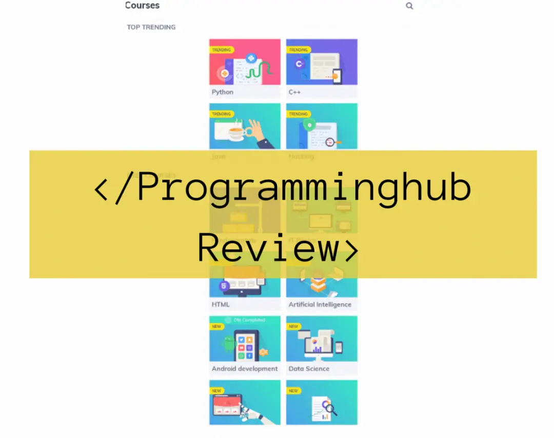 Programming Hub Review - Should You Use This App To Learn Code? - Valorvortech